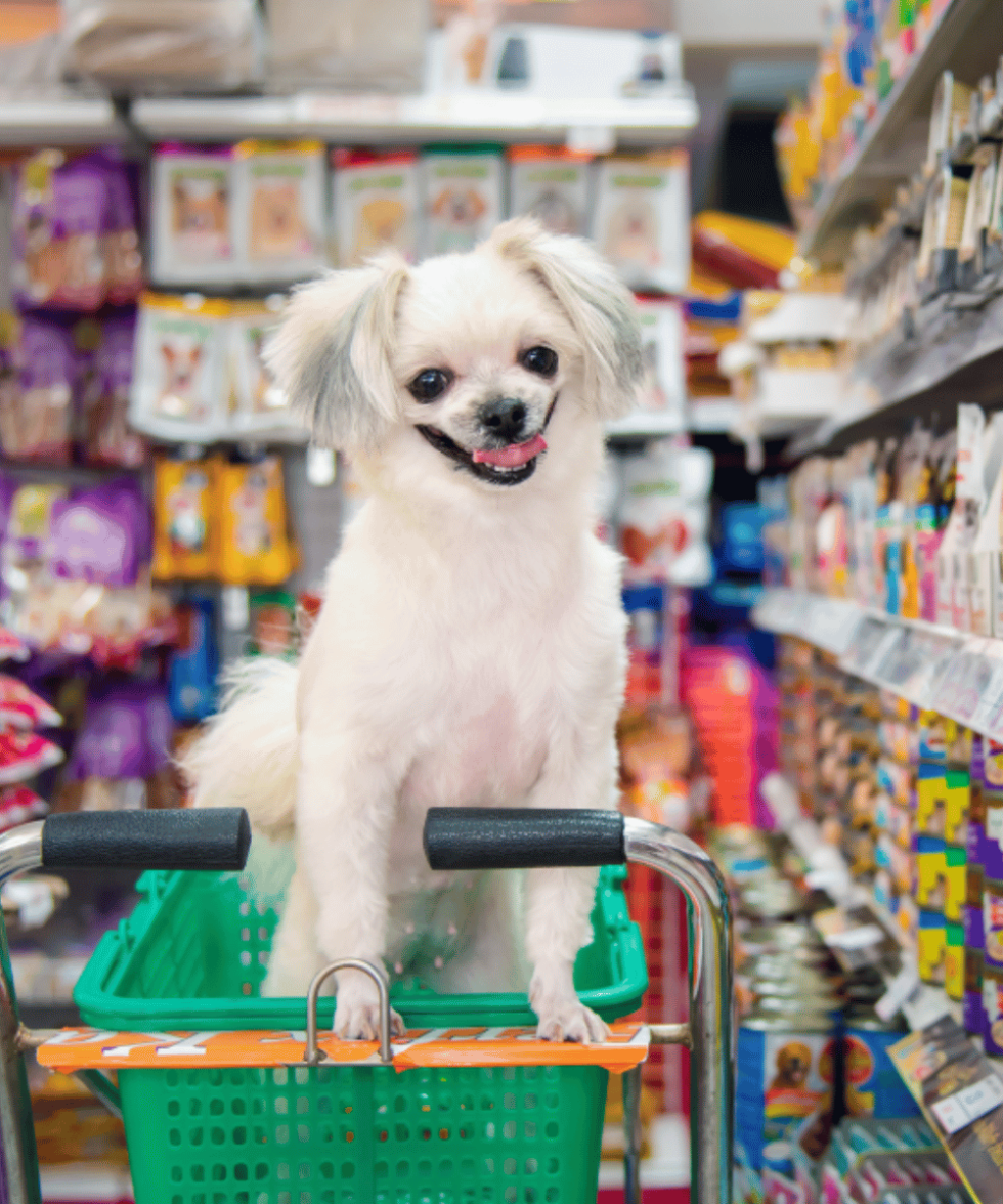 Pet Pharmacy In Goodyear, AZ 80206 | Legacy Animal Hospital